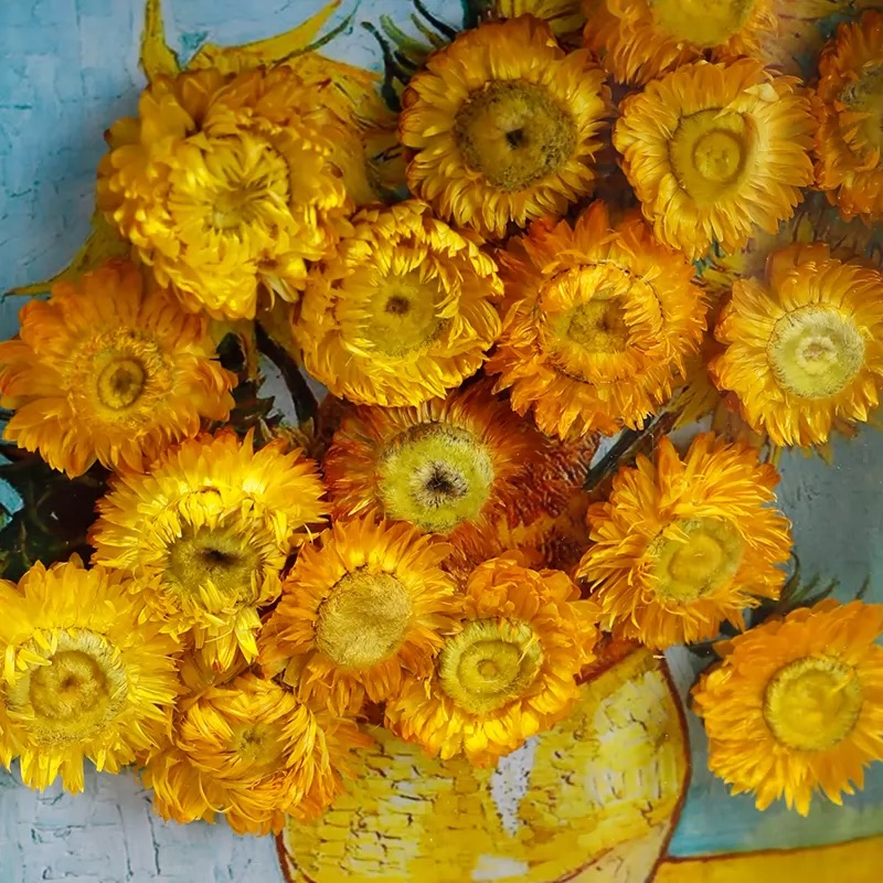 Plant Van Gogh's Spring on Your Wall – Sunflower-Inspired Dried Flower ...